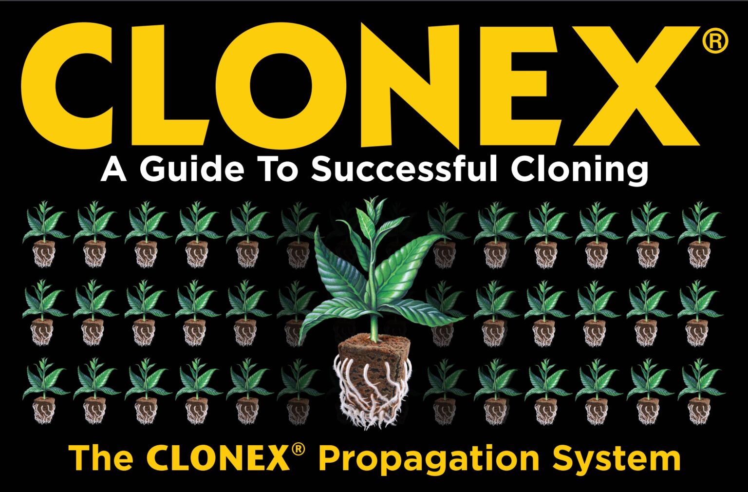 Clonex Guide to Successful Cloning – The Flower Factory